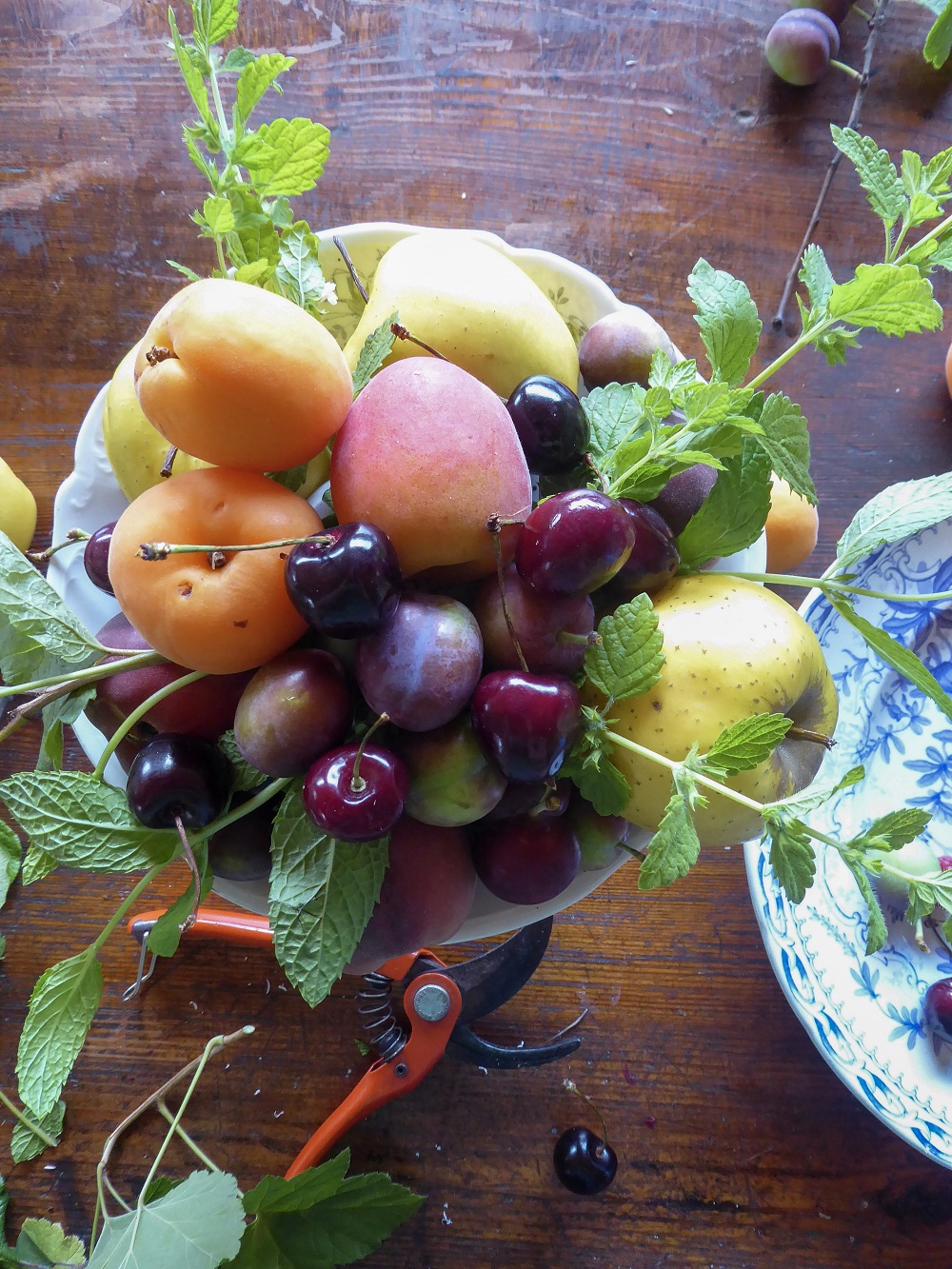 UN CENTRE DE TABLE ORIGINAL POUR VOTRE MARIAGE : UN COMPOTIER DE FRUITS ...